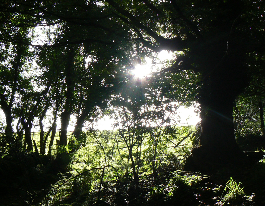 Strabane | Out There Family