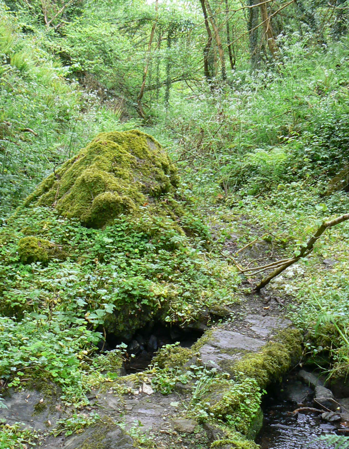 Strabane | Out There Family